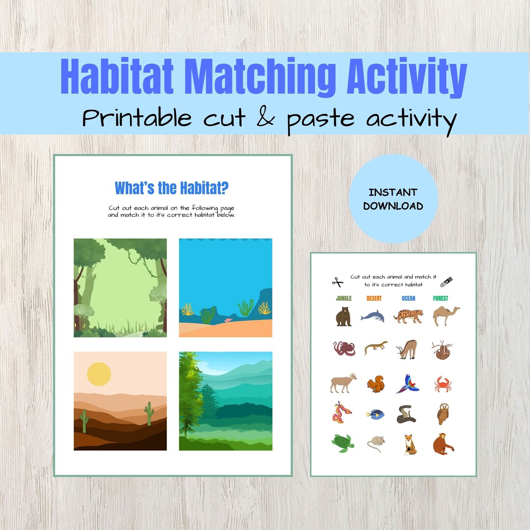 Printable Matching Activity for Kids, Habitats - Ocean Forest Jungle ...