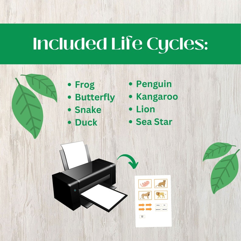 Life Cycle Activity Cards | Create for Life Cycles for Frogs ...