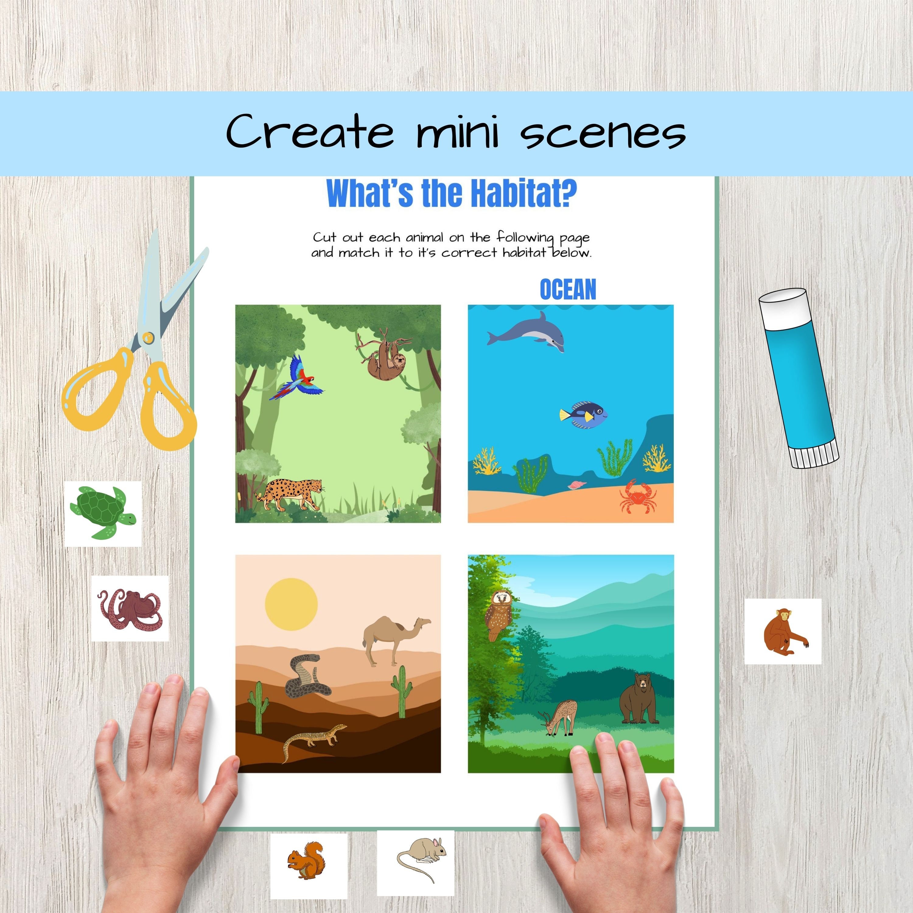 Printable Matching Activity for Kids, Habitats - Ocean Forest Jungle ...