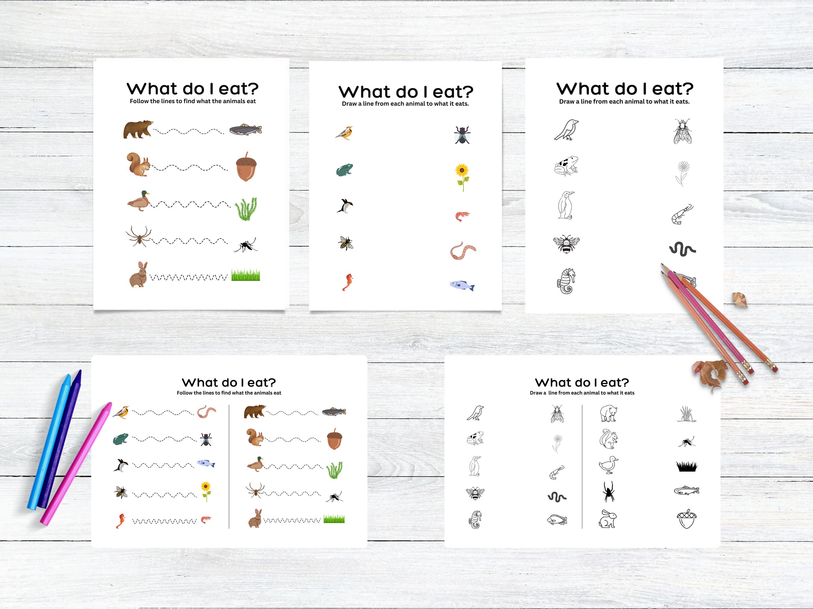 What Do I Eat Activity Sheet I Printable Work Sheets for - Etsy