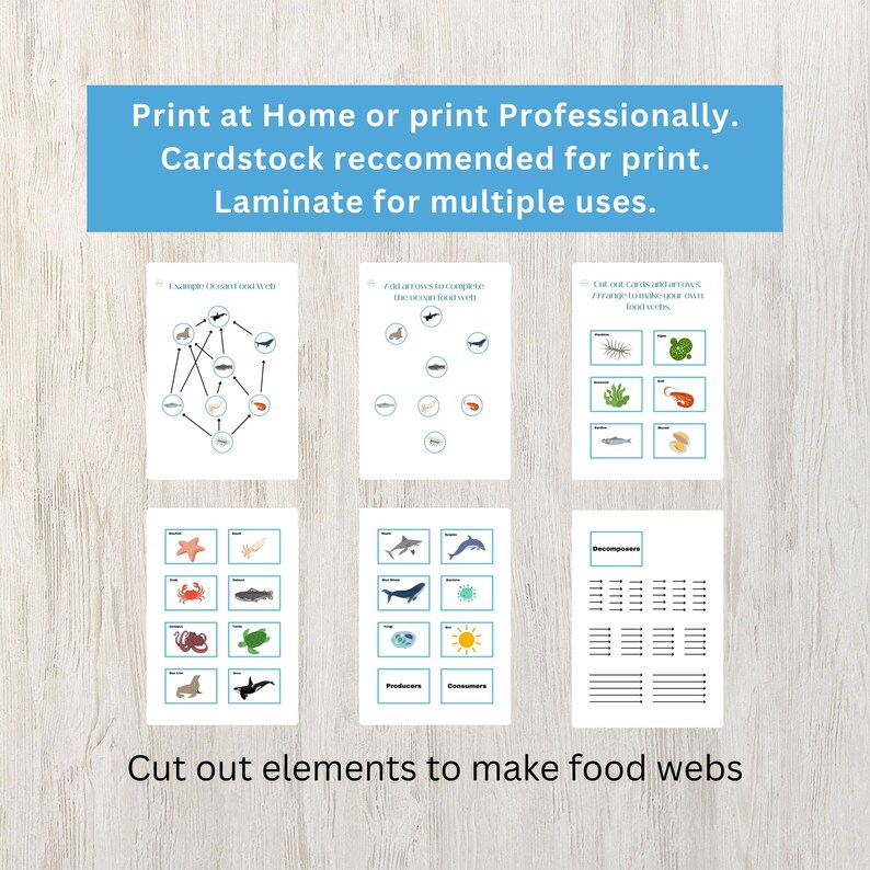 Food Web Activity | Create Food Chains and Food Webs Including ...
