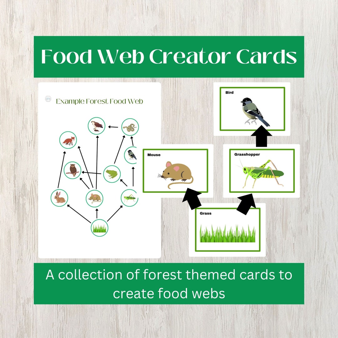 Food Web Activity | Create Food Chains and Food Webs Including ...