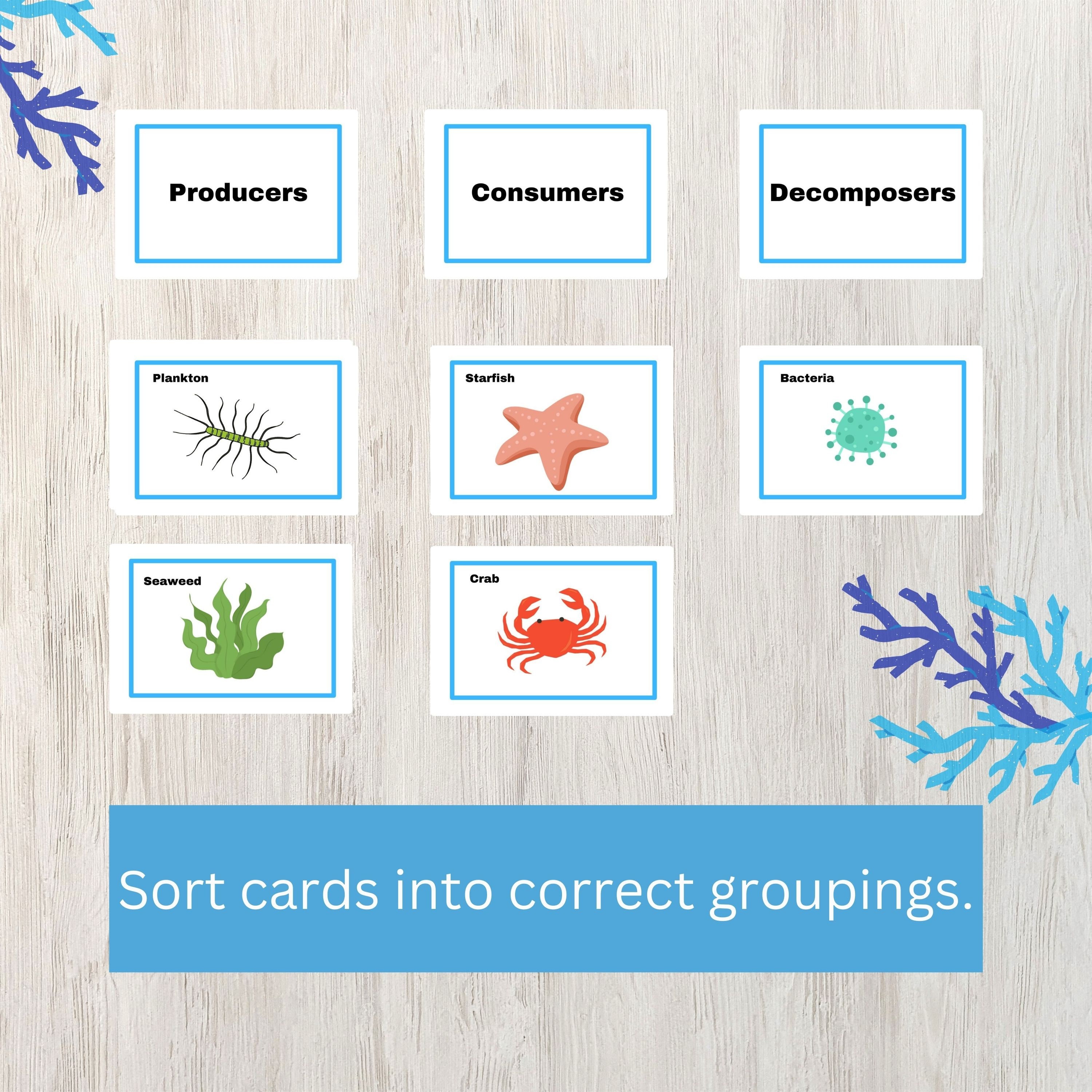 Food Web Activity | Create Food Chains and Food Webs Including ...