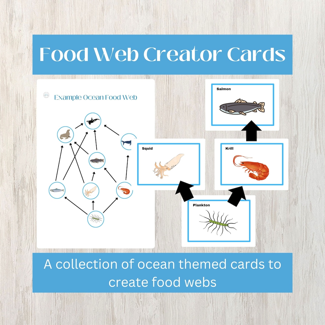 Food Web Activity | Create Food Chains and Food Webs Including ...