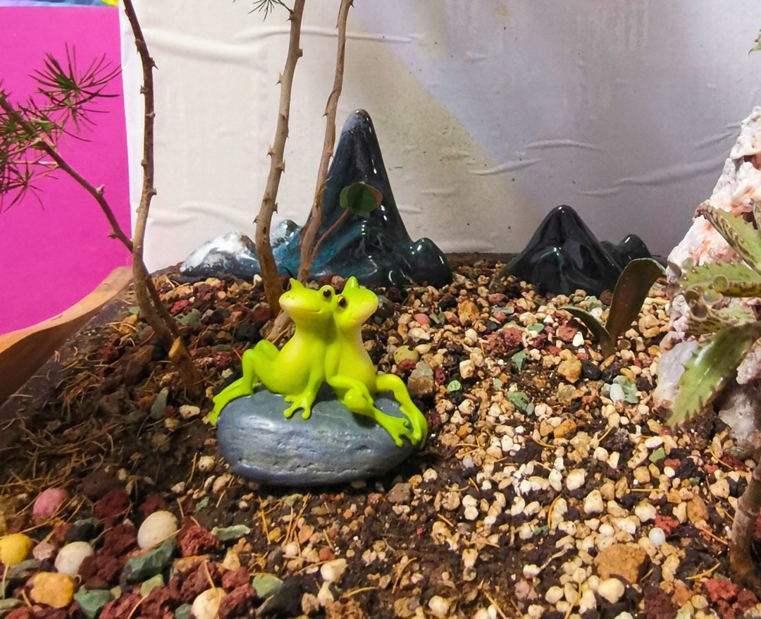 Two Frogs Sitting on A Stone Cute Garden Decoration, Fish Tank ...