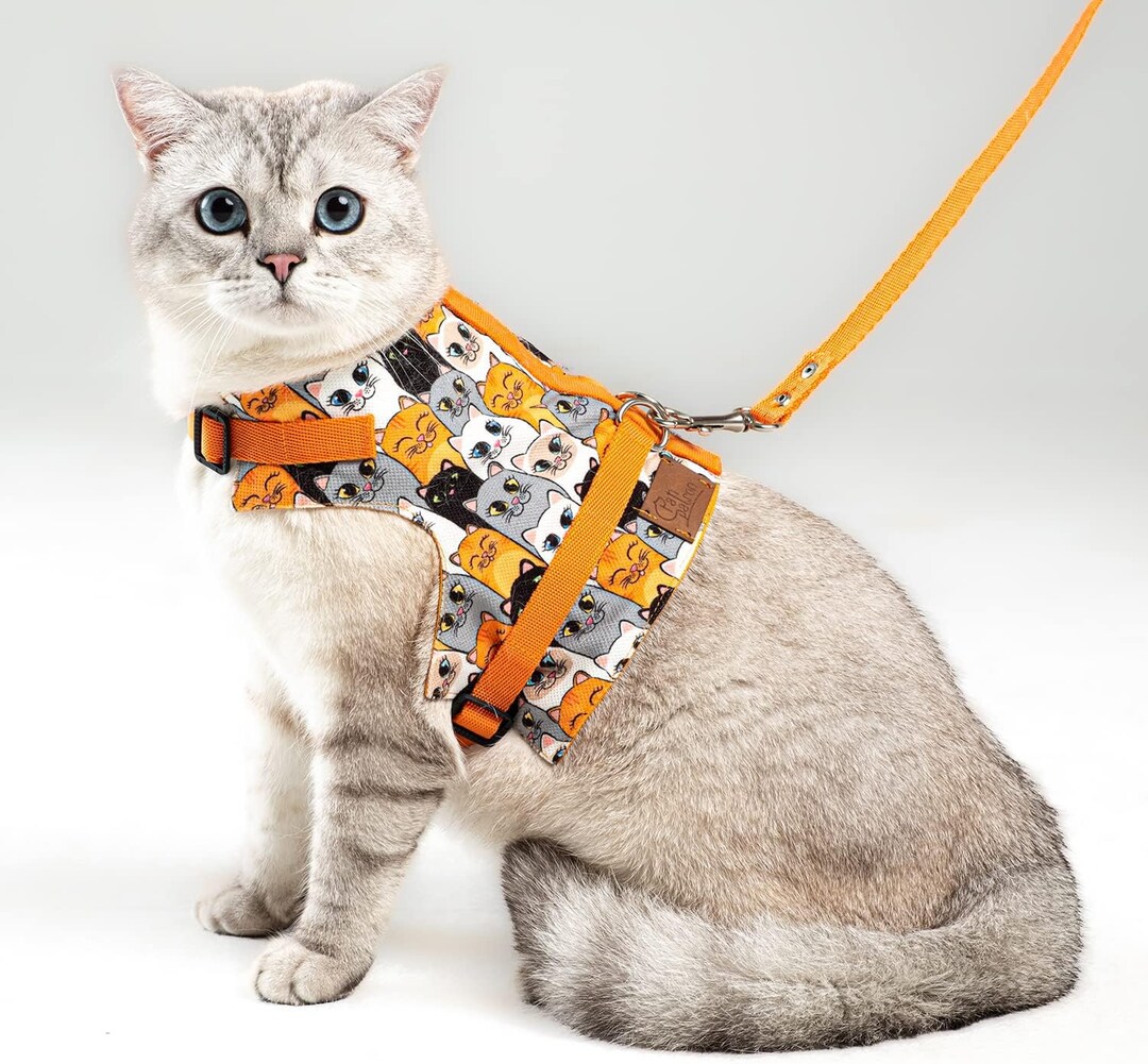 Cat Harness and Leash Set, Cats Escape Proof Adjustable Kitten Harness ...