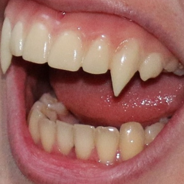 Realistic Vampire Teeth - Etsy UK