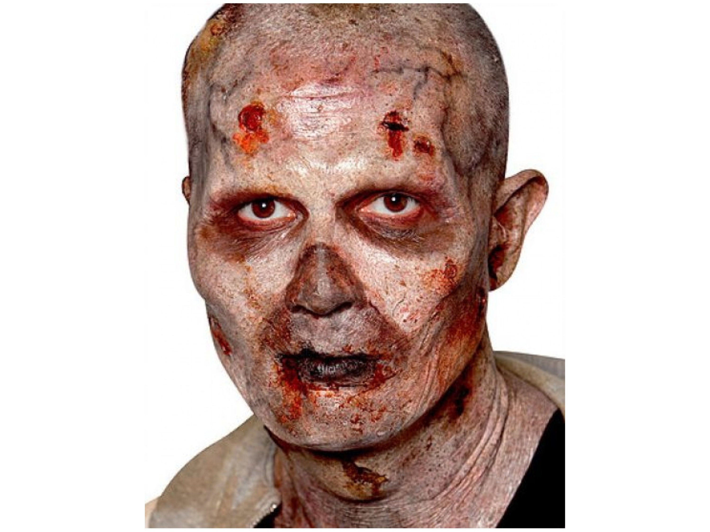 Zombie Prosthetic , Zombie Mask , Zombie FX Prosthetic Mask , Zombie ...