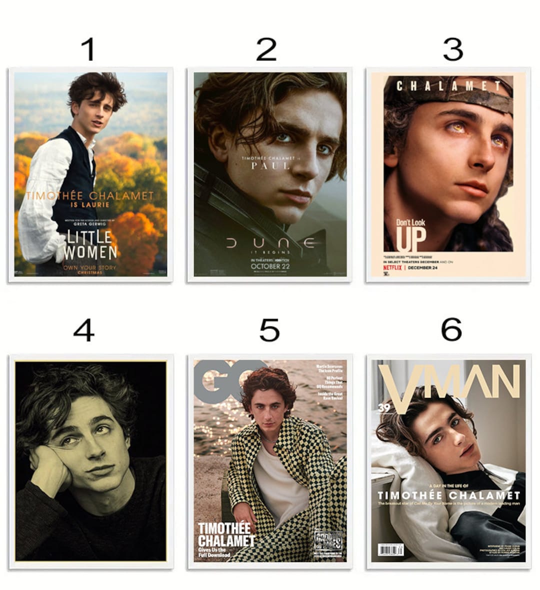 Timothee Chalamet Retro Poster, No Frame - Etsy