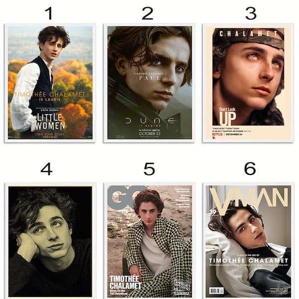 Timothee Chalamet Poster - Etsy