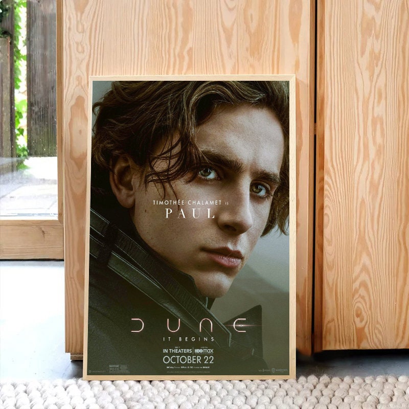 Timothee Chalamet Retro Poster, No Frame - Etsy