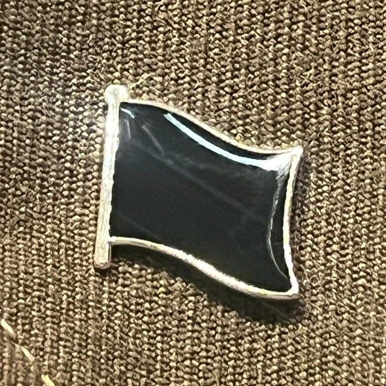 Anarchist Flag Pin Black Flag Pin Anarchy Pin Anarchism Socialism Black Flag Statement Pin ...