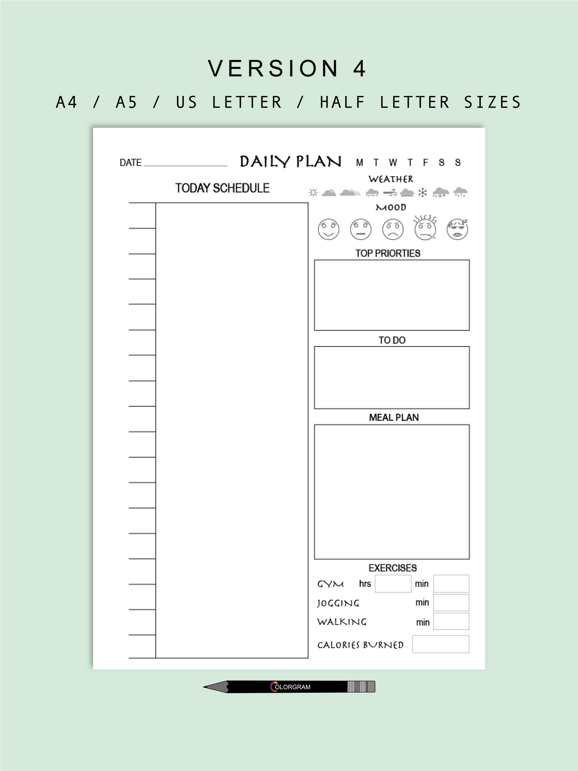 Daily Planner Printable, Digital Fillable Agenda, Hourly Schedule, A4 ...