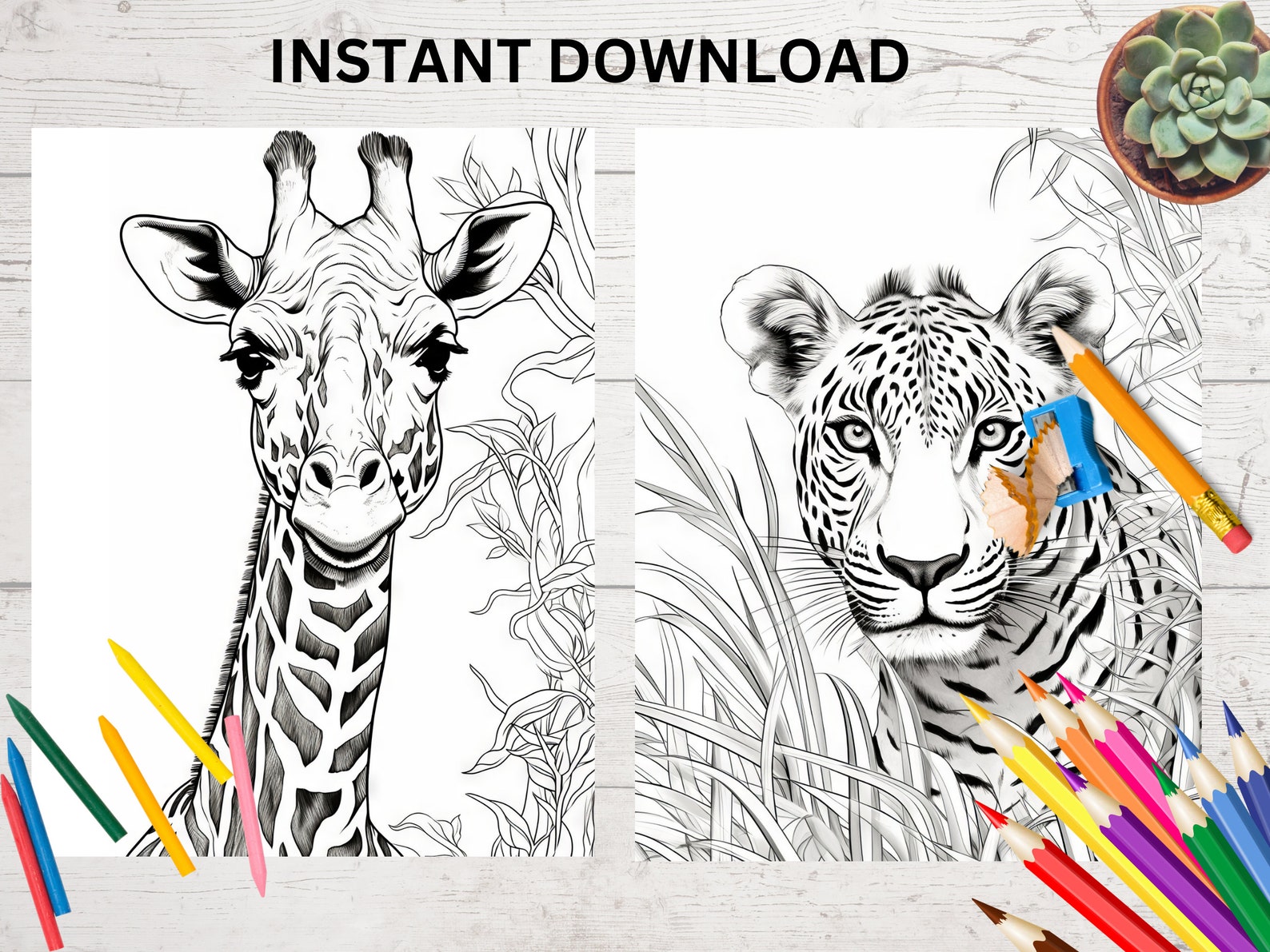 24 Pages Wild Animal Coloring Book | Instant Download | Coloring Pages ...
