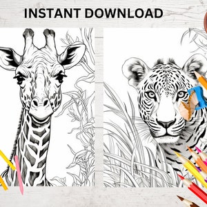 24 Pages Wild Animal Coloring Book | Instant Download | Coloring Pages ...