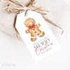 Christmas Gingerbread Man Tag, Printable Cookie Christmas Gift Tag ...