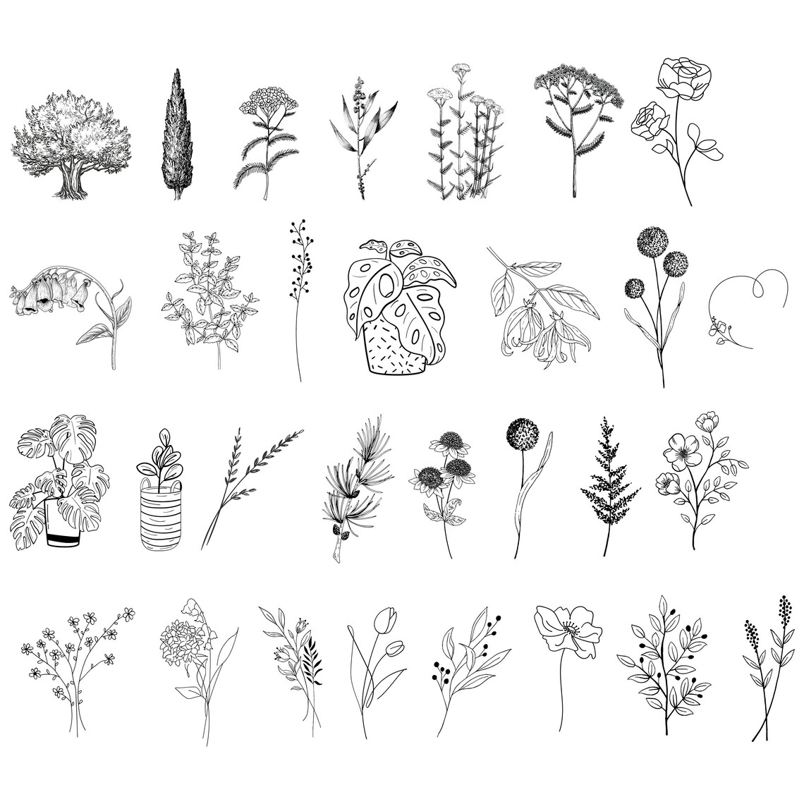 150 Botanical Svg Bundle, Floral Svg Bundle, Flower Svg, Botanic Svg ...