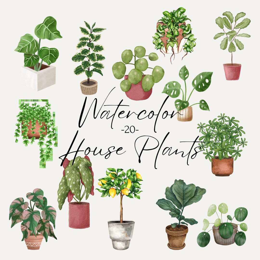 Watercolor Potted Plants Clipart - House Plant, Indoor Plant, Plant ...