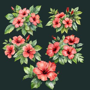 Red Hibiscus Clipart, Tropical Flower PNG, Watercolor Floral Graphics ...