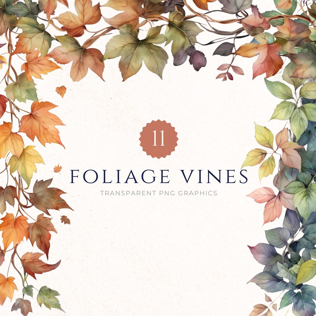 Mixed Foliage Vine Clipart Set, Paper Craft Borders, Leaf Border ...