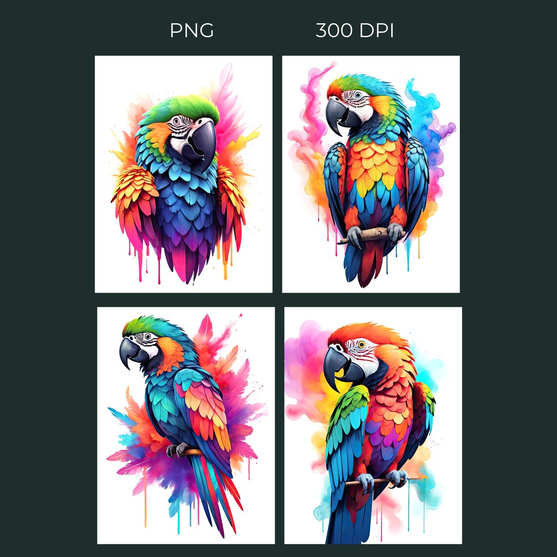 Neon Macaw Clip Art, Colorful Parrot Clipart, Tropical Bird PNG Images ...
