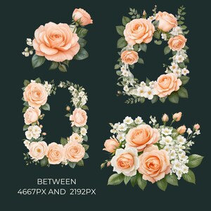 Watercolor Peachy Roses Clip Art, Floral Decoration, Instant Download ...