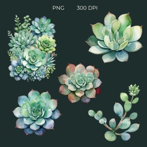 Watercolor Succulent Clipart Set, Scrapbook Graphics Bundle, Paper ...