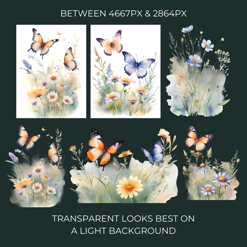 Wildflower Meadow Clipart, Watercolor Floral PNG, Spring Decorations ...