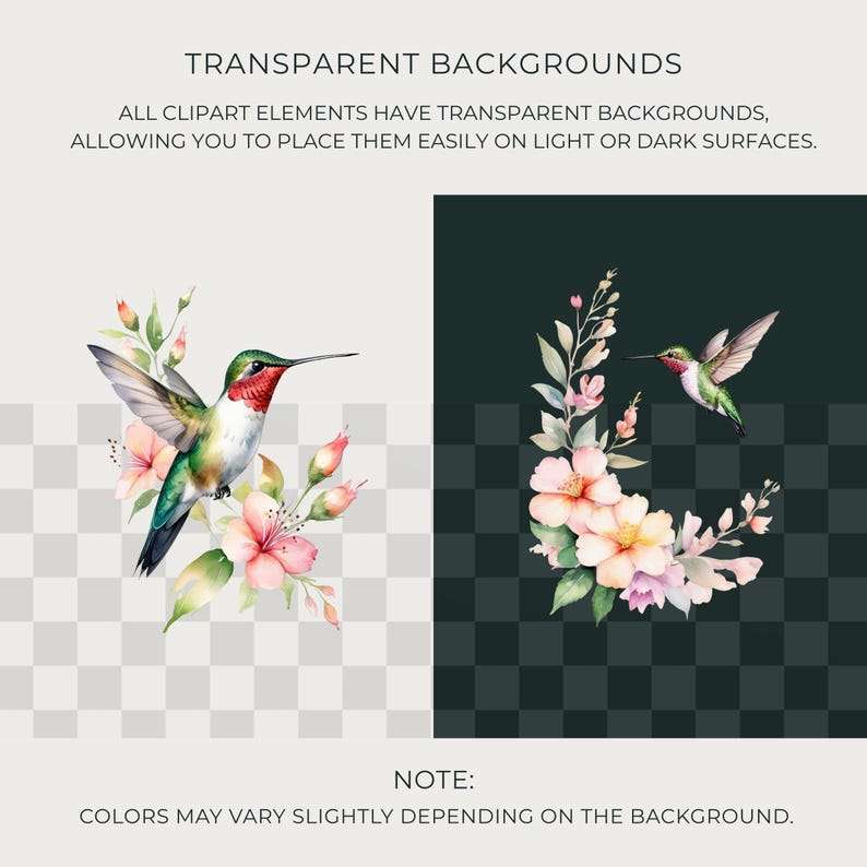 Hummingbird Clipart Digital Download, Watercolor Bird Clip Art ...