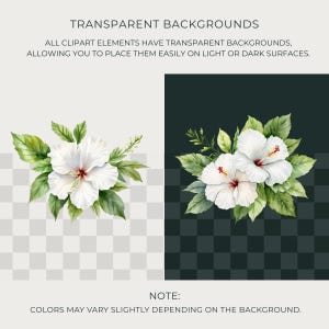 Hawaiian Hibiscus Watercolor Clipart Set, Tropical Flower PNG for ...