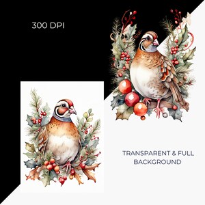 Christmas Partridge Clipart, Instant Download Png, Cardmaking Supply ...