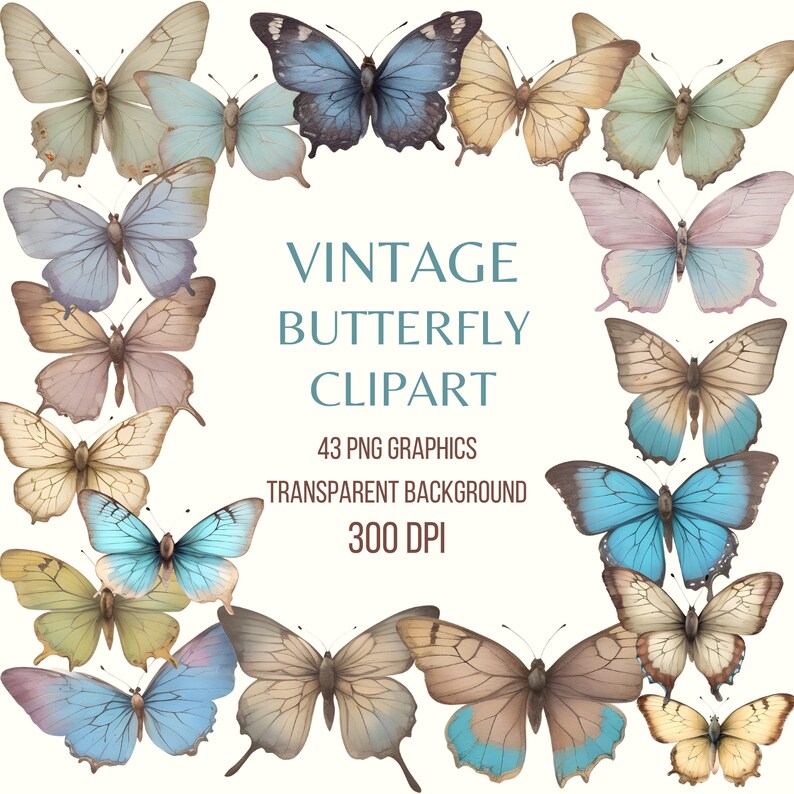 Delicate Butterfly Watercolor Clipart Collection Vintage - Etsy