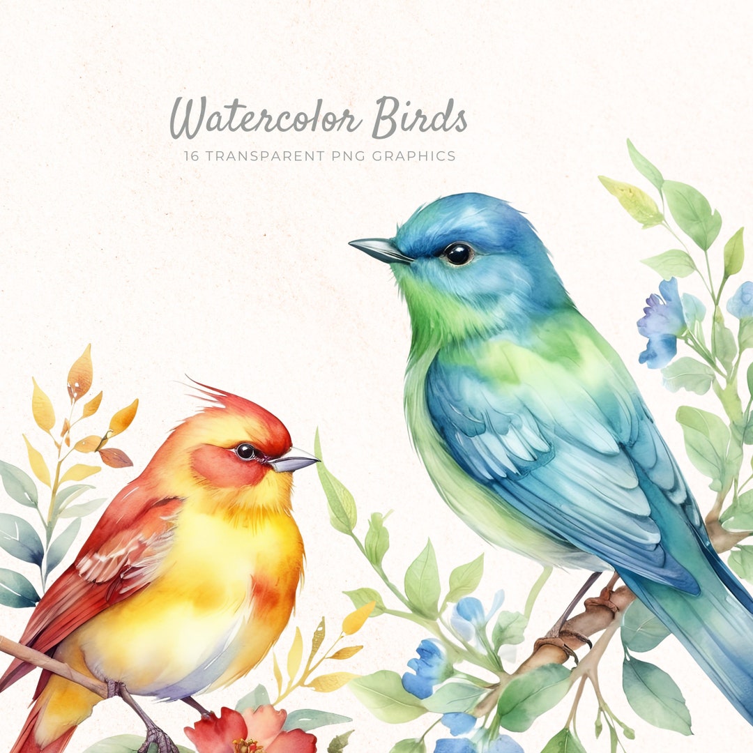 Watercolor Bird Clipart Set, Woodland Animals Graphics, Instant ...