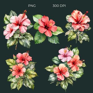 Red Hibiscus Clipart, Tropical Flower PNG, Watercolor Floral Graphics ...