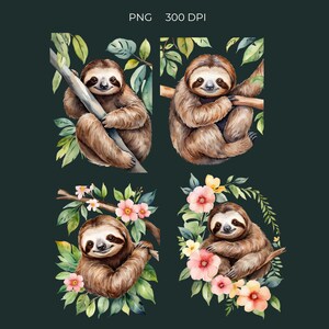 Watercolor Sloth Clipart PNG, Cute Animal Art, Floral Wildlife Decor ...