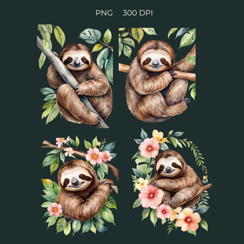 Watercolor Sloth Clipart PNG, Cute Animal Art, Floral Wildlife Decor ...