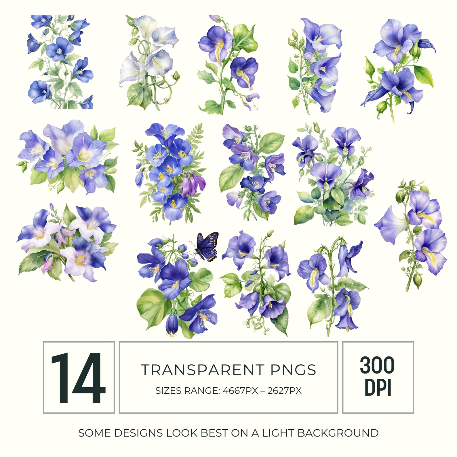 Blue Pea Flower Plant Clipart, Butterfly Flowers PNG, Clitoria Ternatea ...