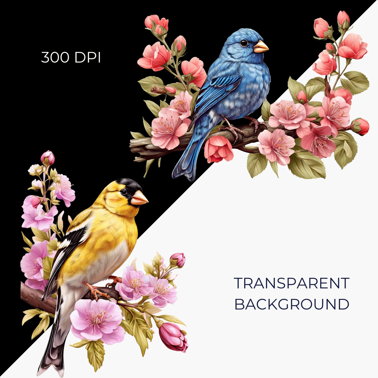 Spring Birds Clipart, Bird Clip Art, Digital Download, Instant Download ...