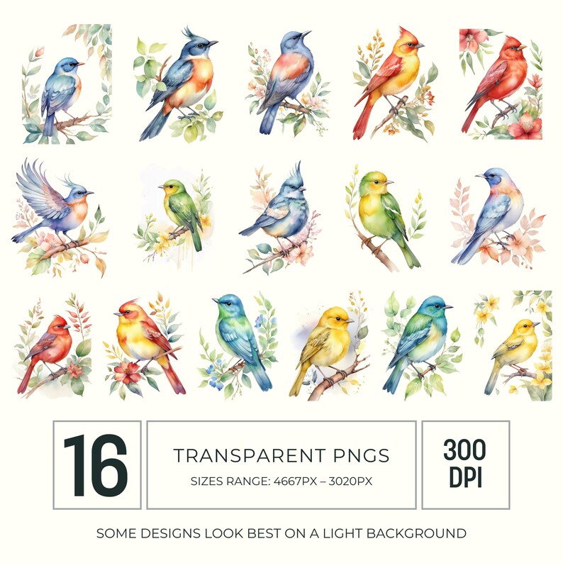 Watercolor Bird Clipart Set, Woodland Animals Graphics, Instant ...