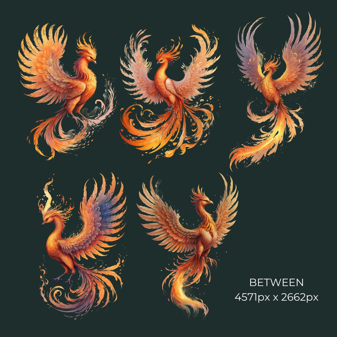 Mythical Phoenix Clipart, Instant Download PNG, Fantasy Bird Craft ...