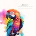 Neon Macaw Clip Art, Colorful Parrot Clipart, Tropical Bird PNG Images ...
