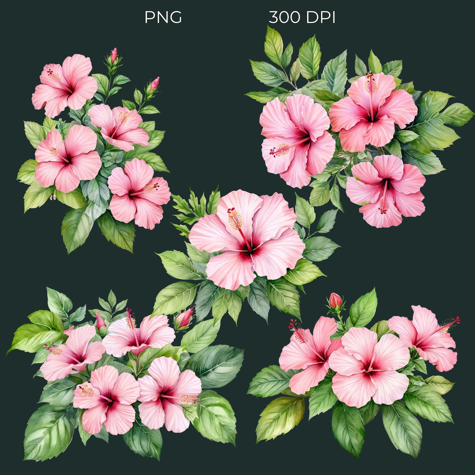 Watercolor Pink Hibiscus Graphics, Tropical Floral Clipart Set, Instant ...