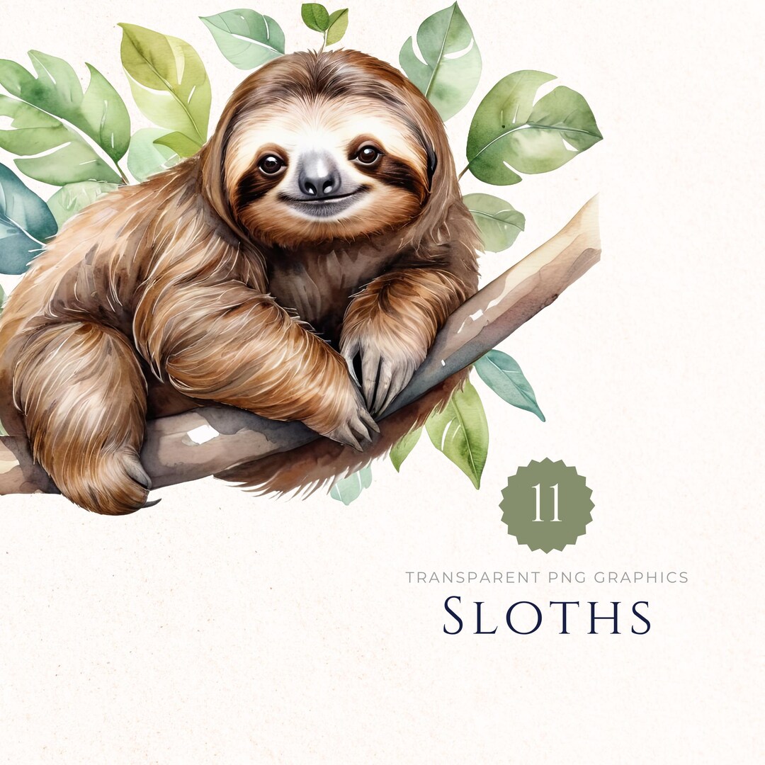 Watercolor Sloth Clipart PNG, Cute Animal Art, Floral Wildlife Decor ...