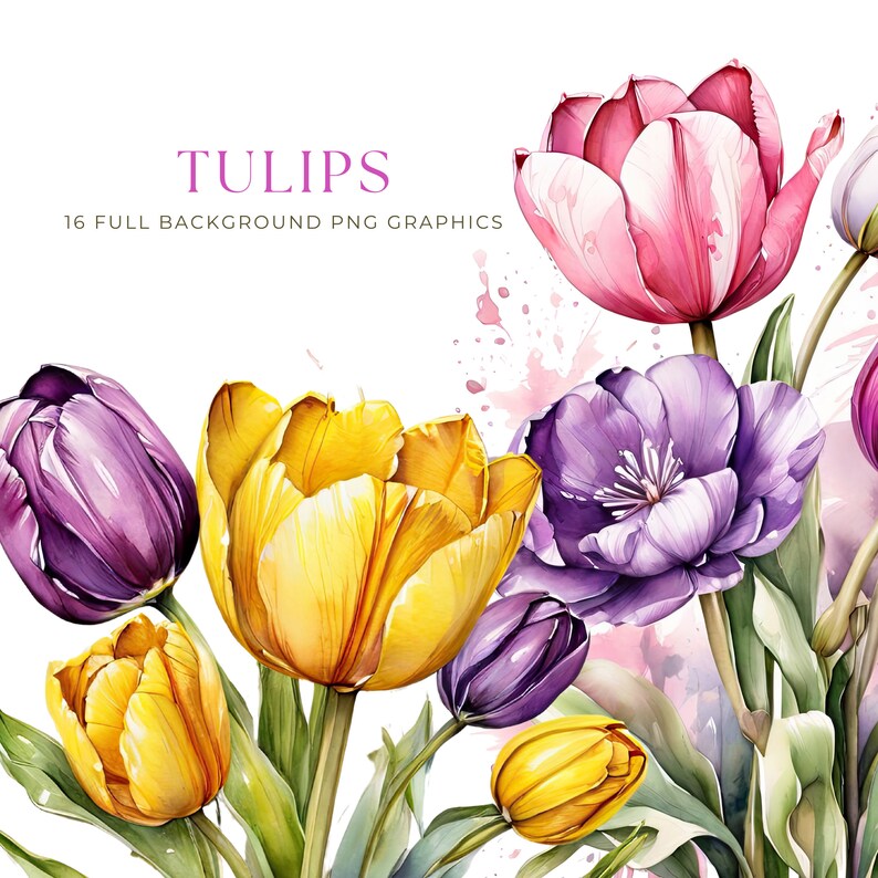 Mixed Tulips Clipart, Spring Flower Clip Art, Instant Download ...