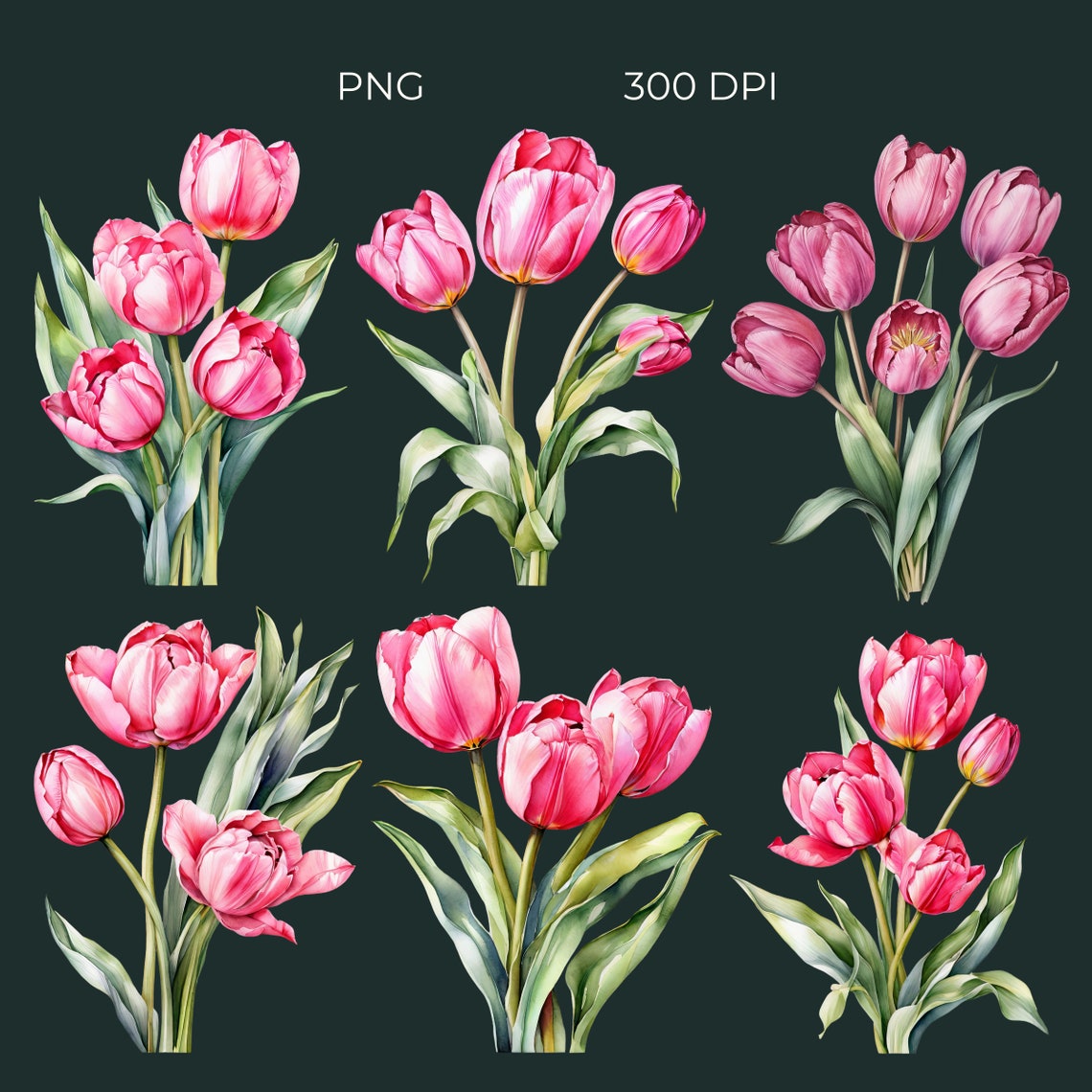 Pink Tulips Clipart, Watercolor Floral Design, Instant Download, Tulip ...