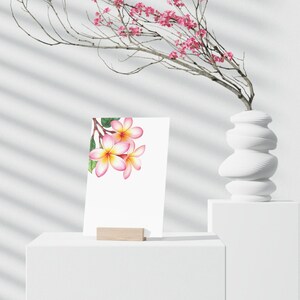 Plumeria Frangipani Flower Clipart, Tropical Flowers Graphic Set ...