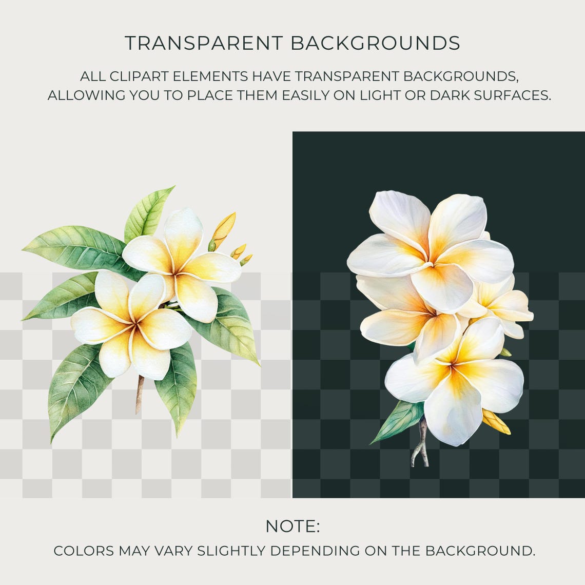 Frangipani Clipart, Tropical Flowers, Garden Clipart, Plumeria Flower ...