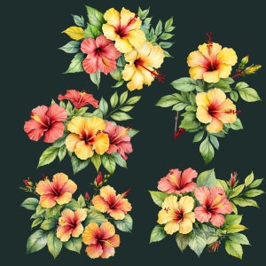 Yellow Red Hibiscus Clipart, Tropical Floral Hawaii Flowers, Instant ...