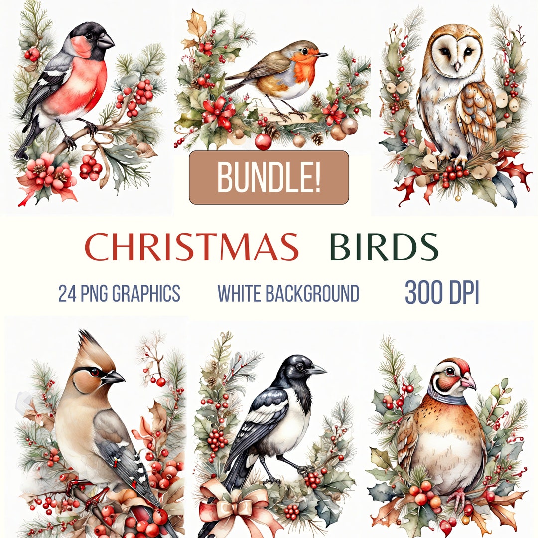 Holiday Bird Clipart Bundle, Christmas Decoration, 24 PNG Files, White ...