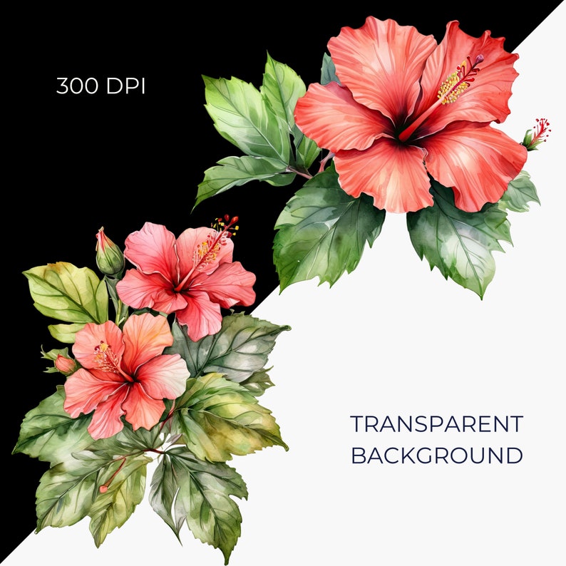 Red Hibiscus Clipart, Tropical Flower PNG, Watercolor Floral Graphics ...